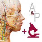 Top 7 des meilleurs outils et logiciels d’anatomie humaine